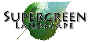 Supergreen Landscape - Commercial and Residential Landscape Architects